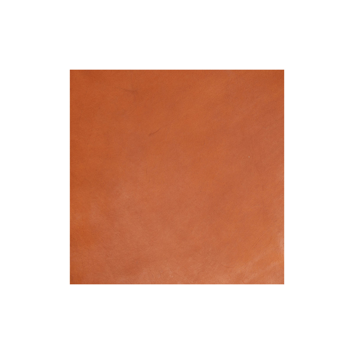 Leather Samples for Crafting - Veg & Chrome Tanned Available – Weaver ...