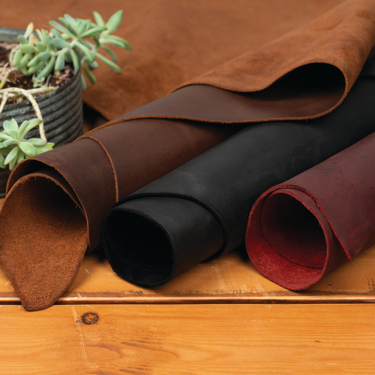 Leather 101 With the Experts - Weaver Leather Supply