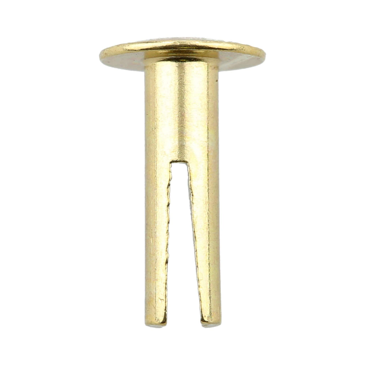 8/16" Brass, 3/8" Head Diameter Split Rivet, Steel, 24-pack – Weaver ...