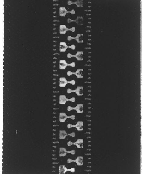 #10 Black, YKK Vislon Zipper Chain Tape with Black Plastic Teeth, #10V